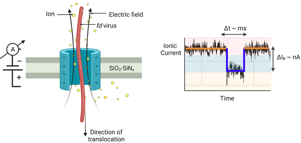 Solid-state Nanopore Translocation and Fingerprinting – Doyle Research ...